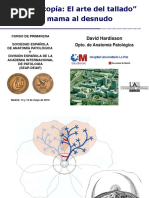 Cap. 2. Tumorectomía y Cuadrantectomía | PDF | Pecho | Cáncer