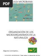 Interacciones Microbianas | PDF | Biología | Microbiología