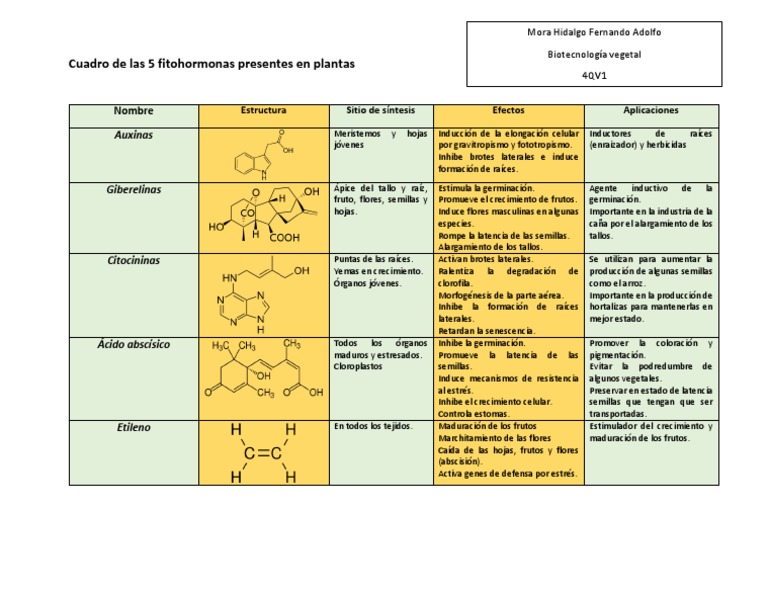 Cuadro de Fitohormonas - Biotecnologia Vegetal | PDF | Raíz | Germinación