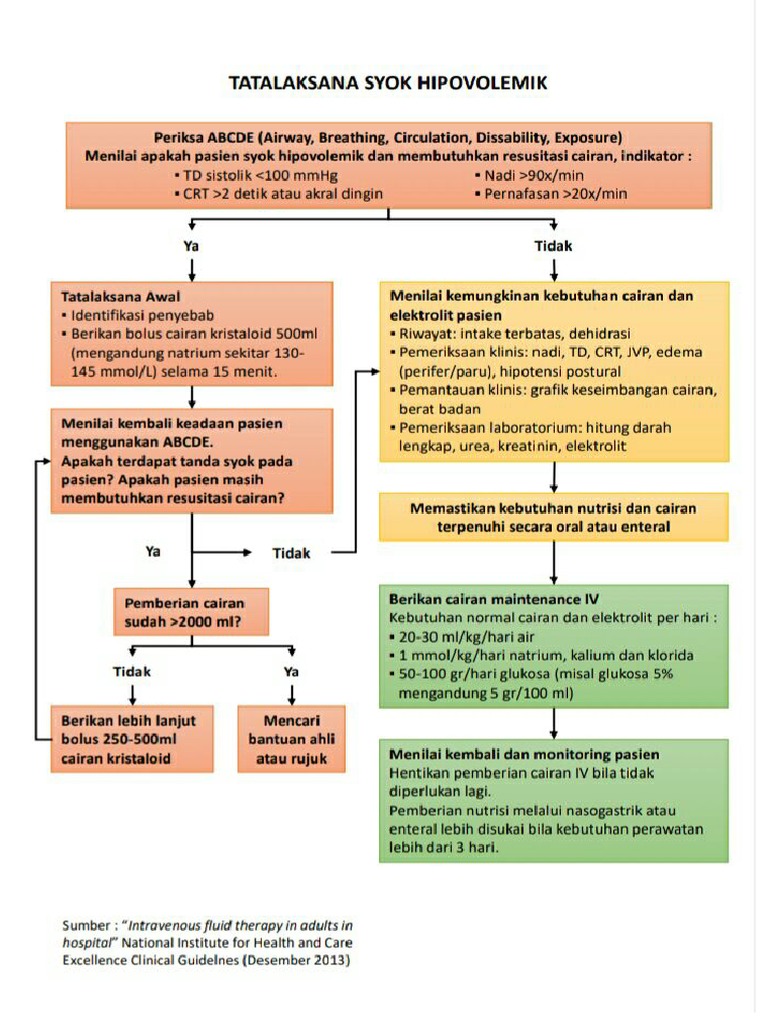 Algoritma Syok Hipovolemik | PDF