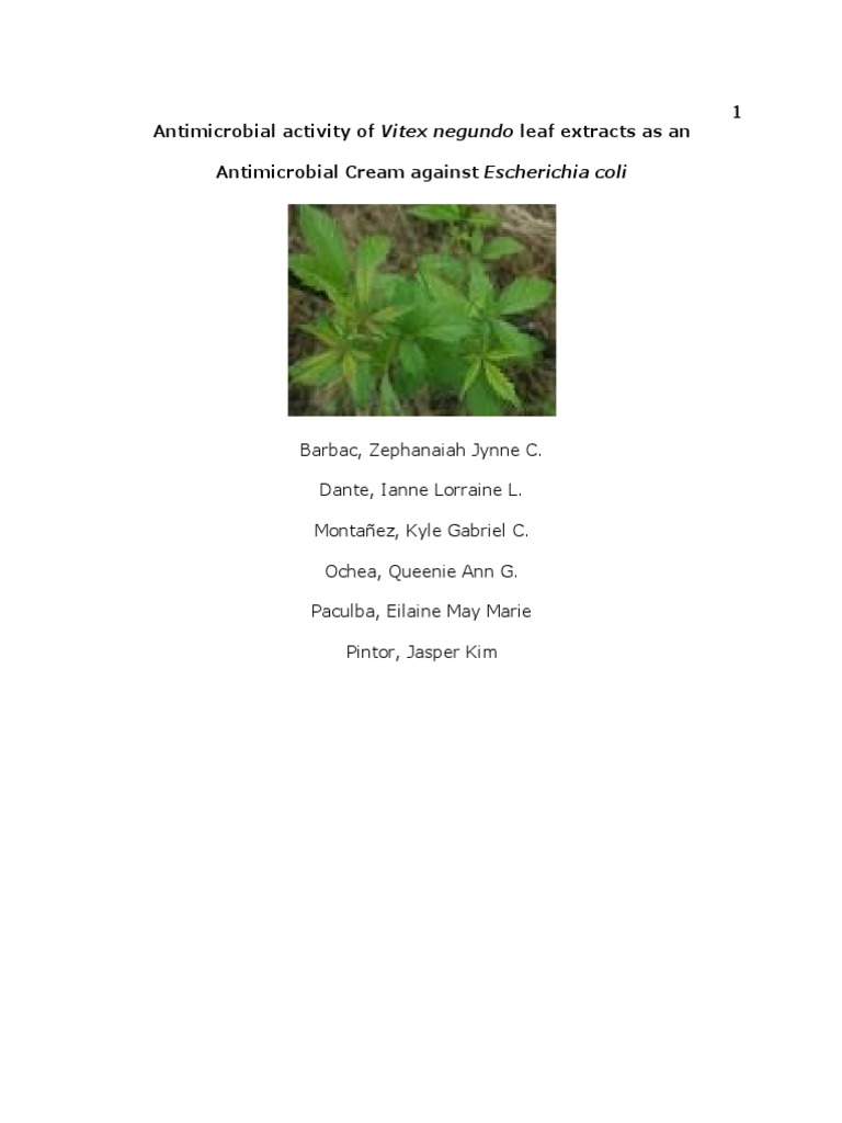 Antimicrobial Activity of Vitex negundo Leaf Extracts as an ...