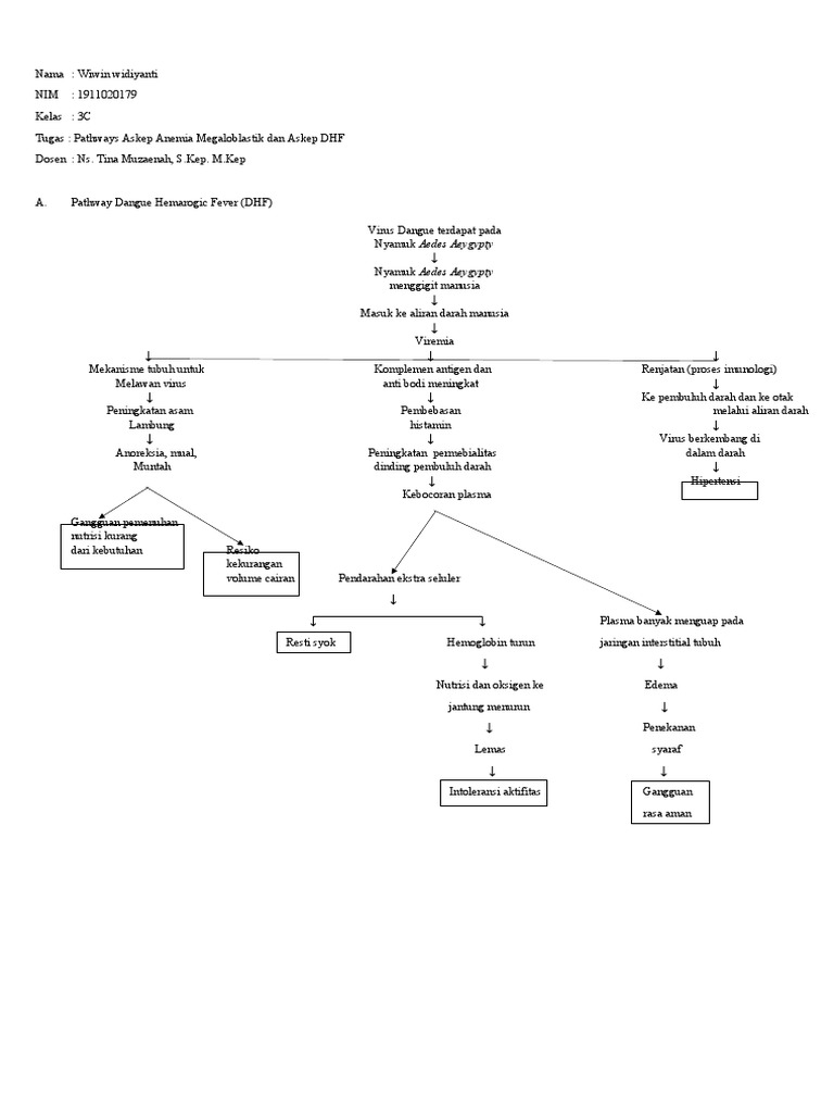 Wiwin Widiyanti - 179 - 3C - Tugas Pathways DHF & Anemia Megaloblastik | PDF