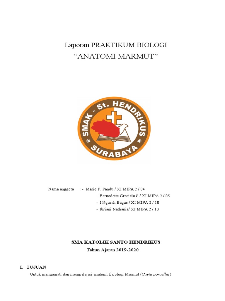 Laprak Bio - Anatomi Marmut | PDF