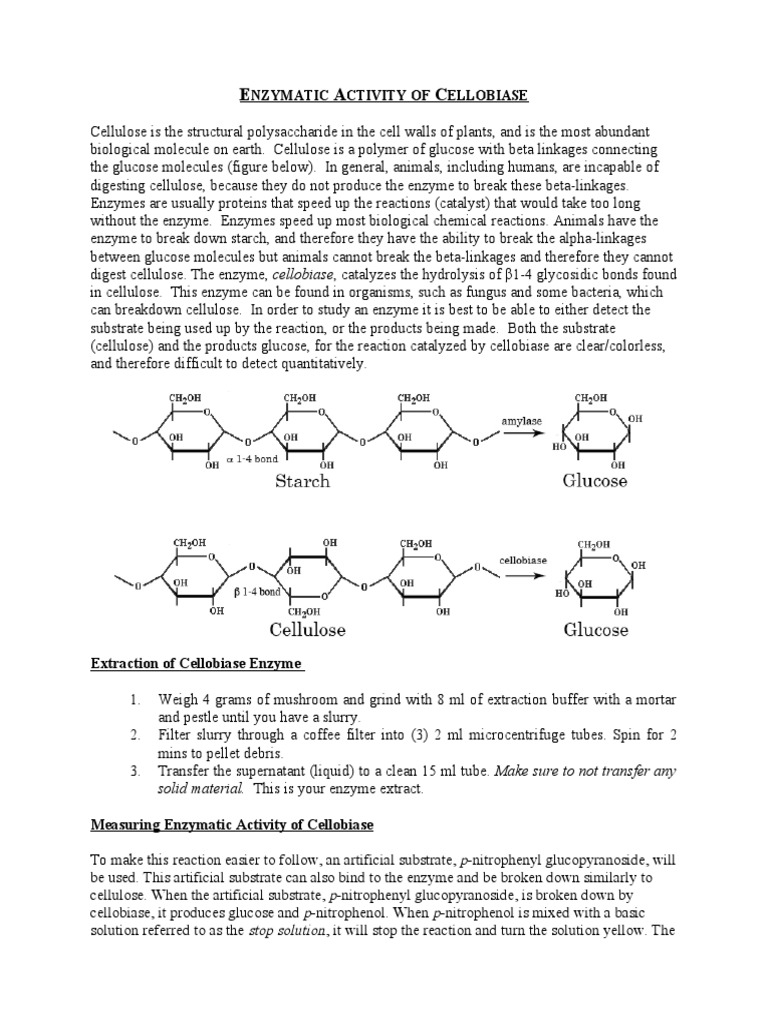 Cellobiase Activity | PDF | Absorbance | Enzyme