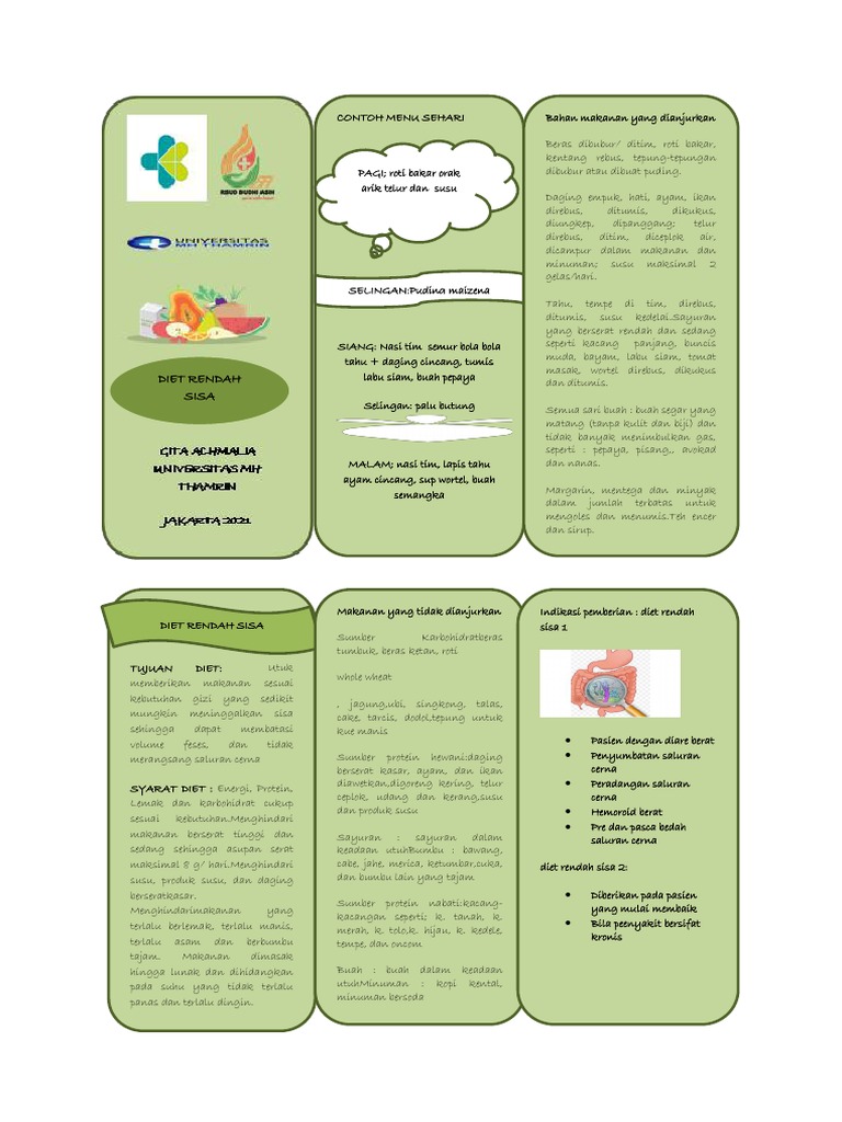 Diet Rendah Sisa - Gita Achmalia - d3 Gizi MH Thamrin | PDF