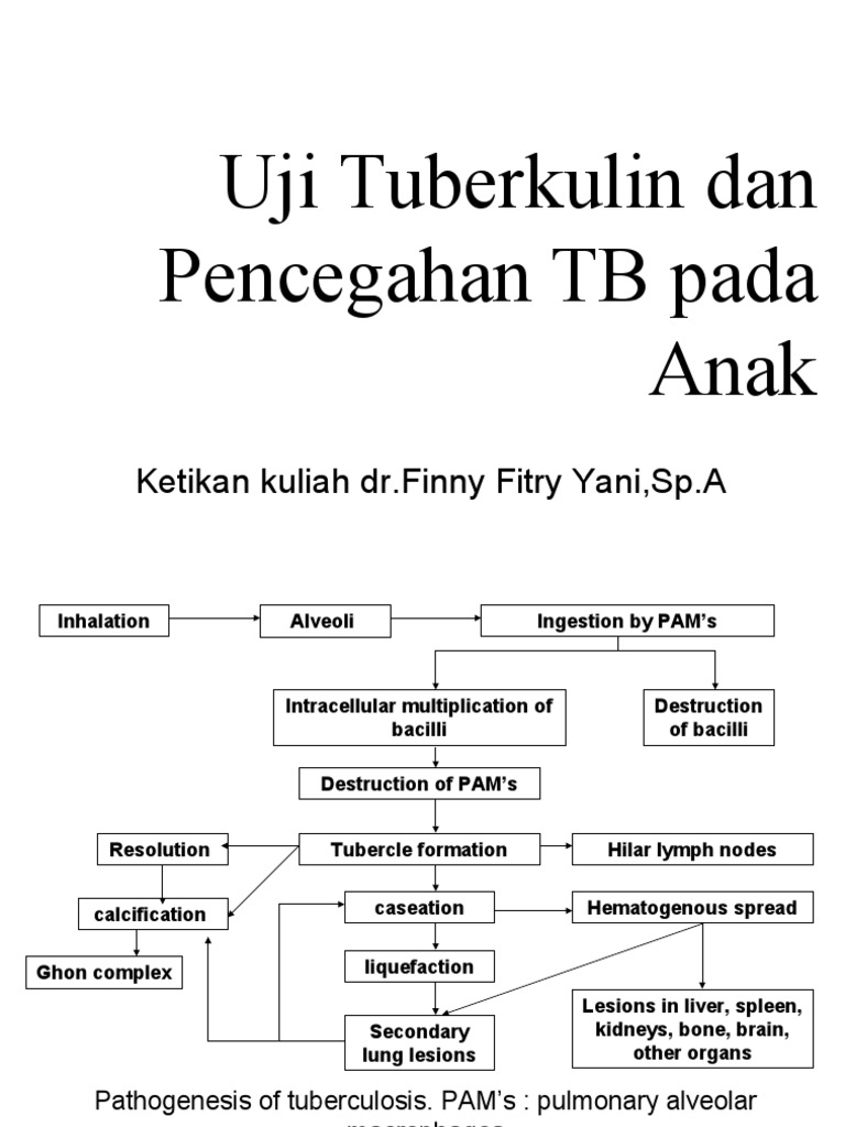 12.uji Tuberkulin Dan Pencegahan TB Pada Anak | PDF | Tuberculosis ...