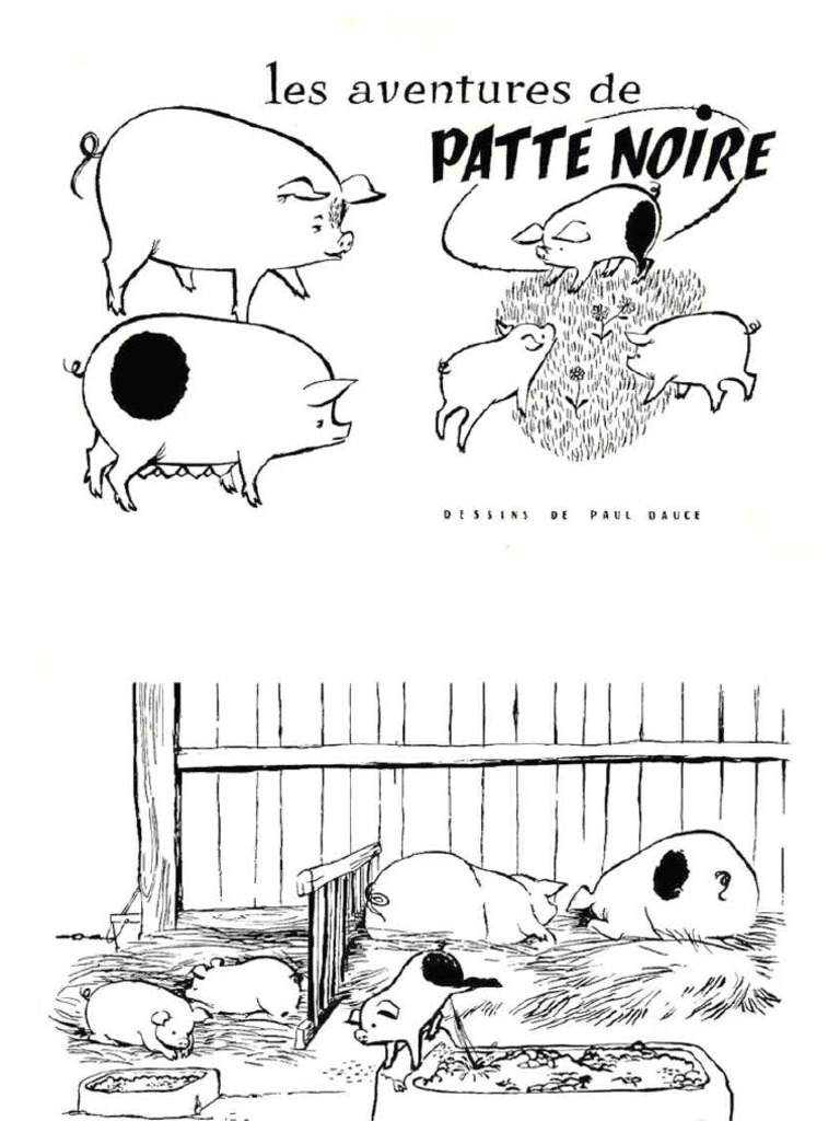 Testul Patte Noire Planse | PDF