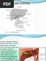 PR Bleed | PDF | Colonoscopy | Rectum