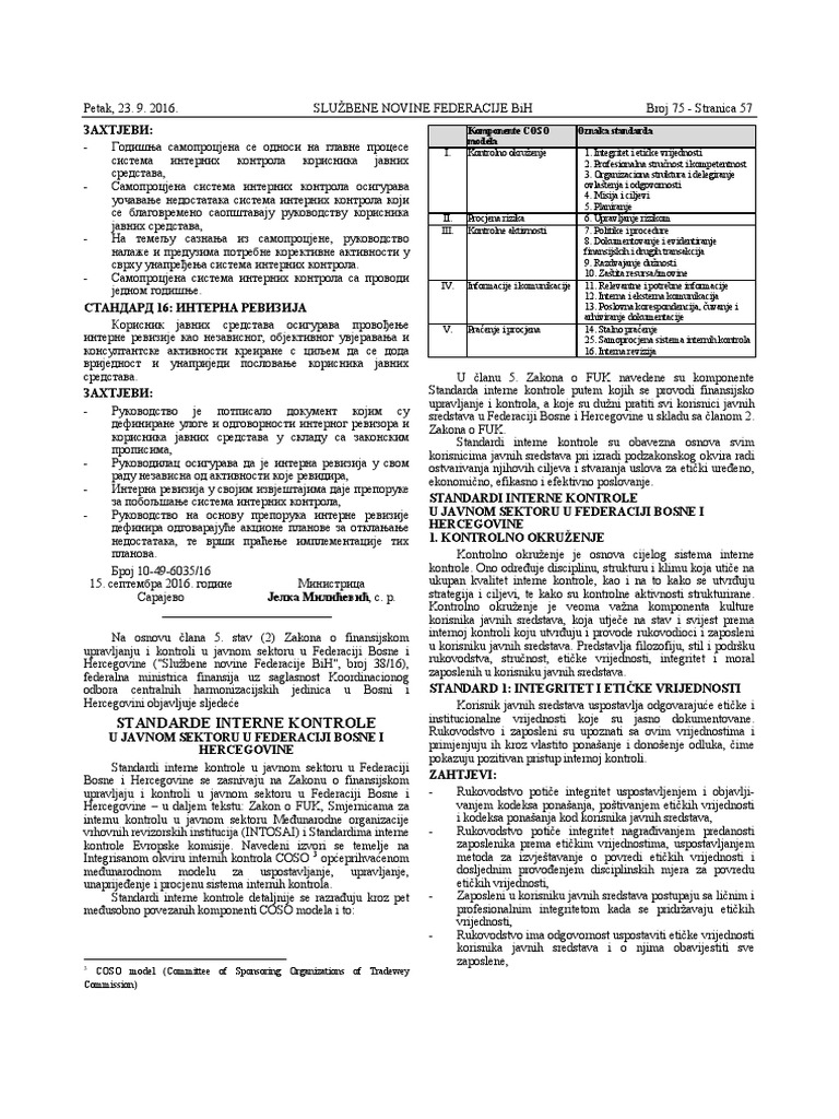 Standardi Interne Kontrole | PDF