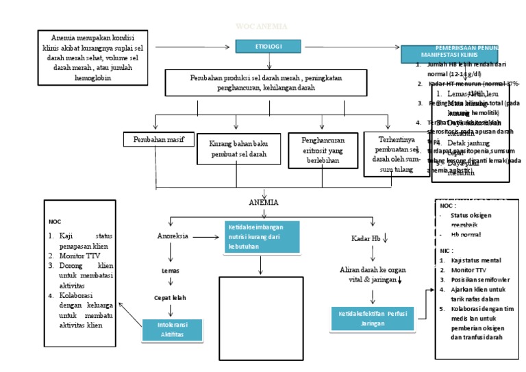 Woc Anemia | PDF