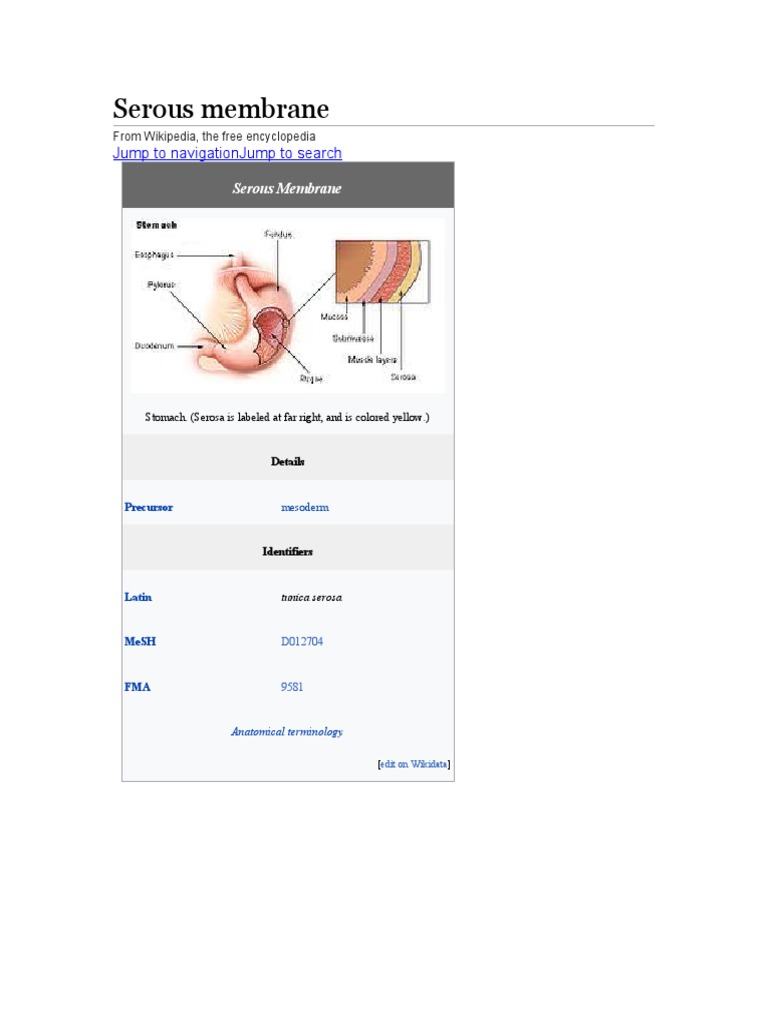 Serous Membrane: Jump To Navigation Jump To Search | PDF | Anatomy ...