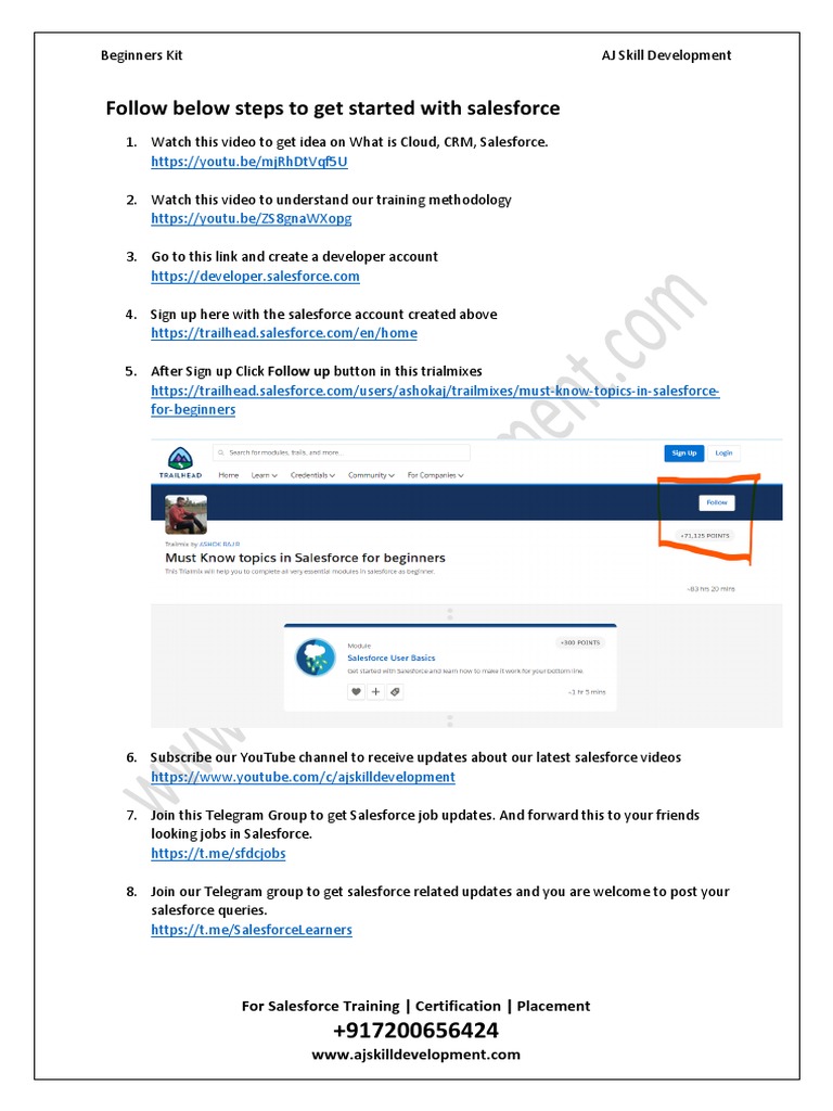 Salesforce Beginner's Training Guide | PDF