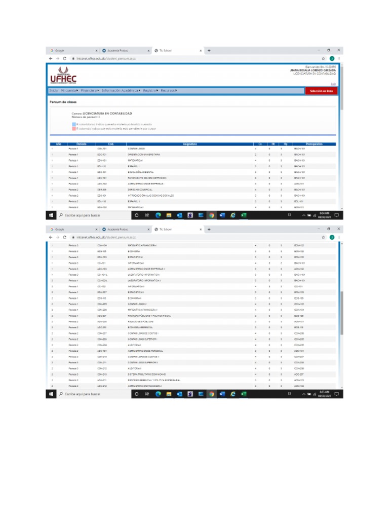 Pensum Contabilidad Tic School | PDF