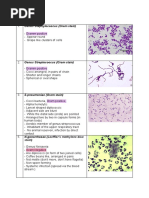 Microbe Mission Science Olympiad Cheat Sheet 2011 | PDF | Fungus ...