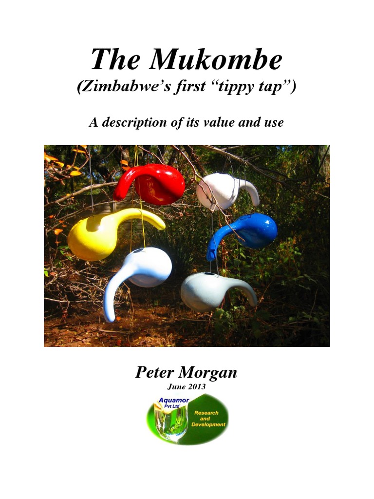 The Mukombe: (Zimbabwe's First "Tippy Tap") | PDF | Water | Nature