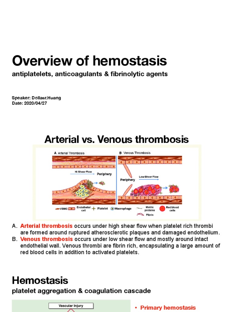 Overview of Hemostasis | PDF | Platelet | Coagulation