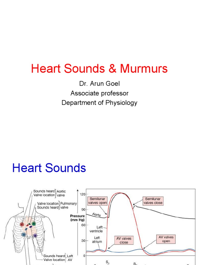 347 Heart Sounds & Murmurs | PDF