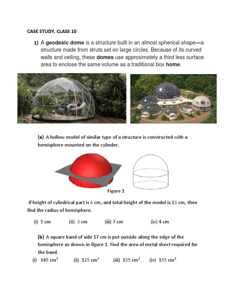 Case Study, Class 10 1) | PDF | Sphere | Area