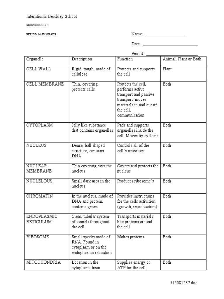 Cell Organelles Guide for Grades 6-8 | PDF | Lysosome | Endoplasmic ...