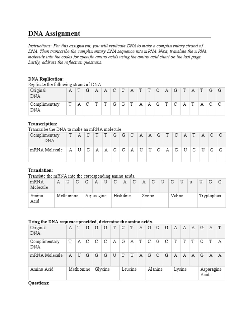 03 - 05 Transcription and Translation Assignment | PDF | Translation ...