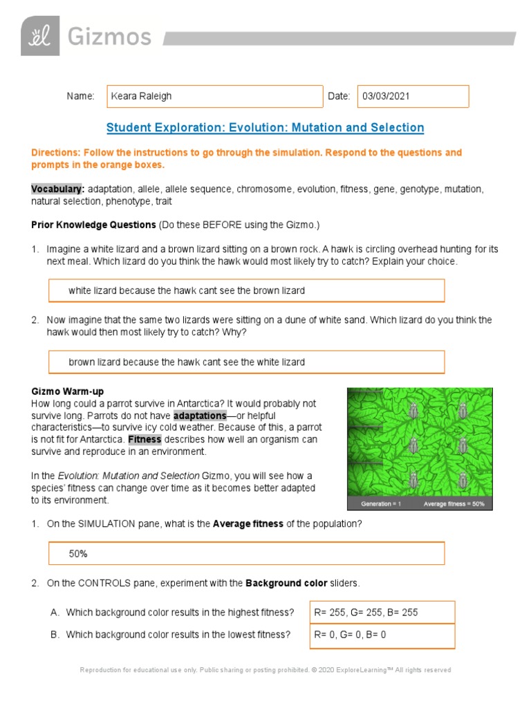 Student Exploration: Evolution: Mutation and Selection | PDF | Fitness (Biology) | Evolution