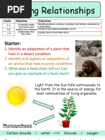 3rd Grade - Food Chain Worksheet | PDF