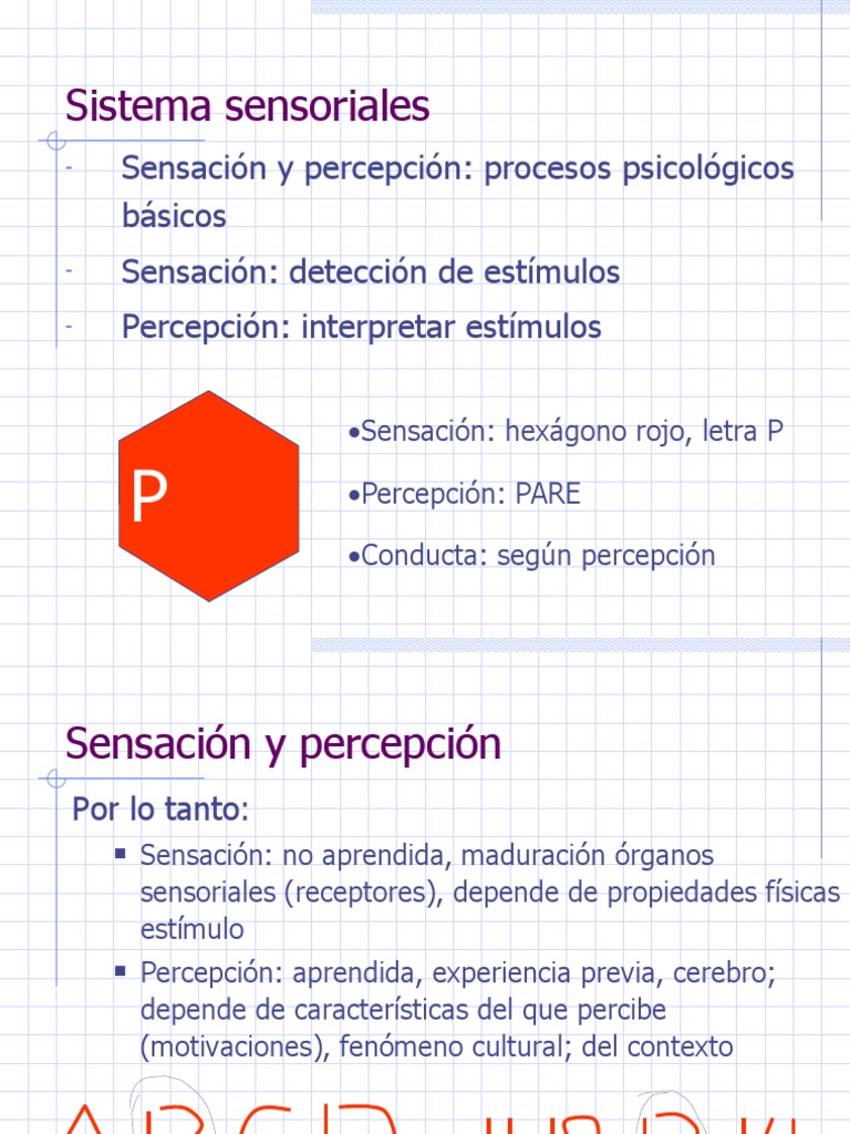 Agnosias Visuales | PDF | Sentidos | Percepción