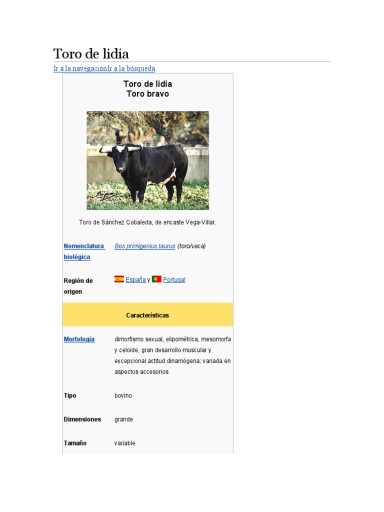 Características del Toro de Lidia | PDF | Bovinos | Vacas