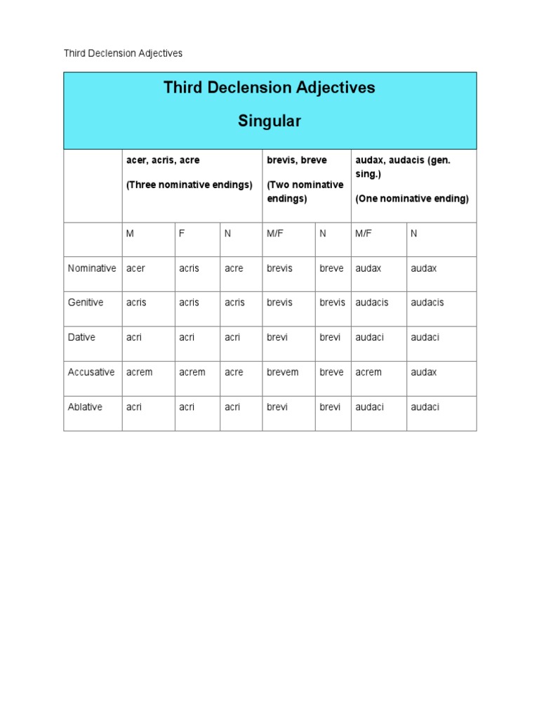 3.02 Third Declension Adjectives Chart | PDF