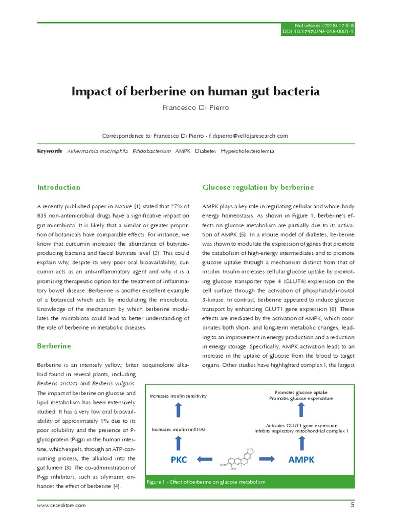 Impact of Berberine On Human Gut Bacteria | PDF | Low Density ...