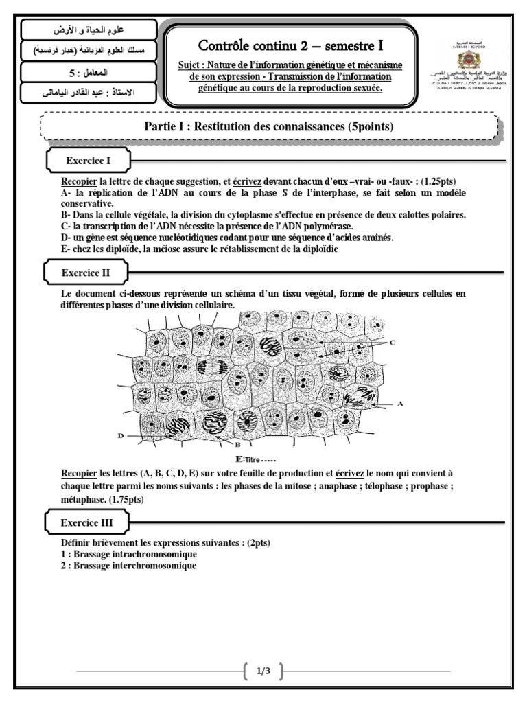 Devoir 2 Modele 2 SVT 2 Bac SM A Semestre 1 | PDF | Mitose | Méiose