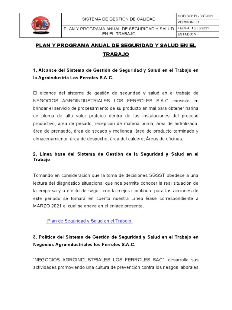 Plan y Programa Anual de Seguridad y Salud en El Trabajo Finish | PDF | Sistema de manejo de ...