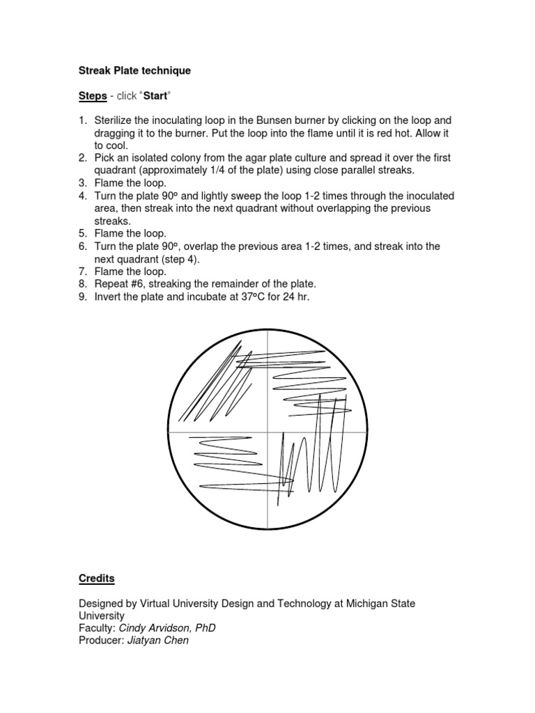 Streak Plate Technique Guide | PDF | Home & Garden