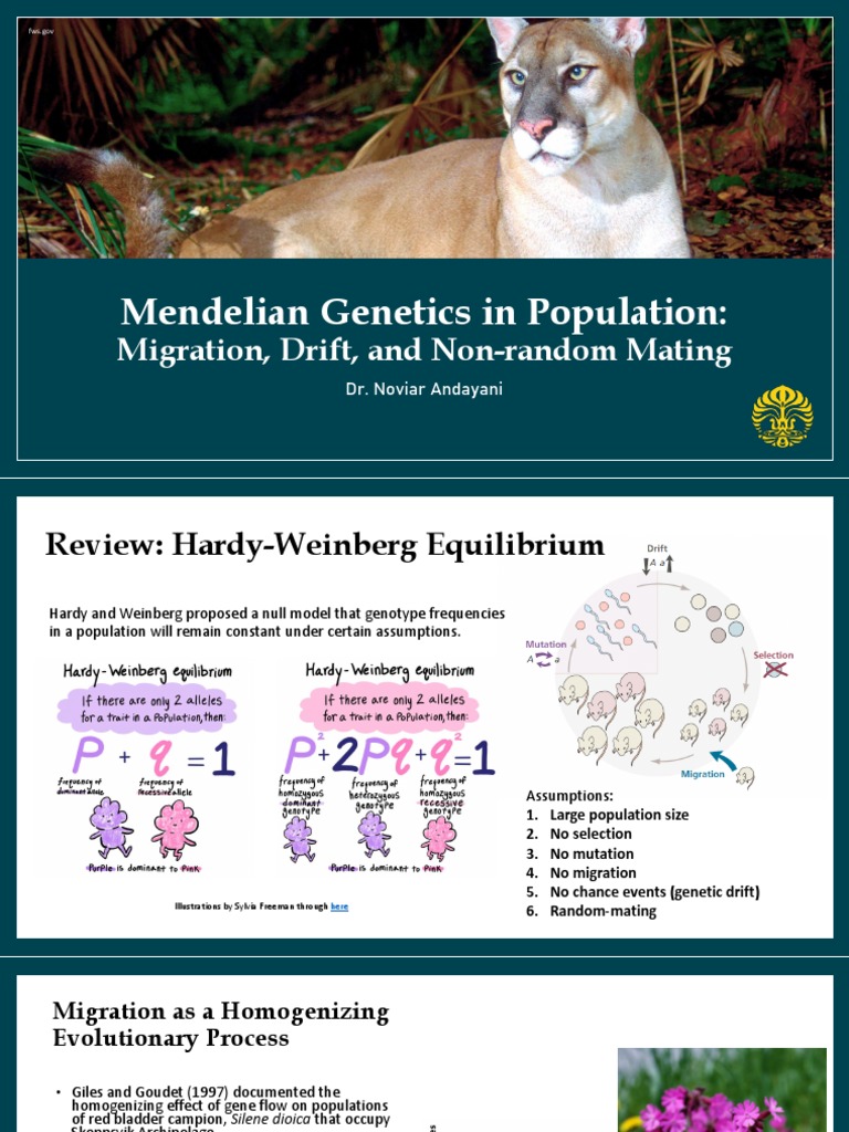 Mendelian Genetics in Population Migration, Drift, Nonrandom Mating ...