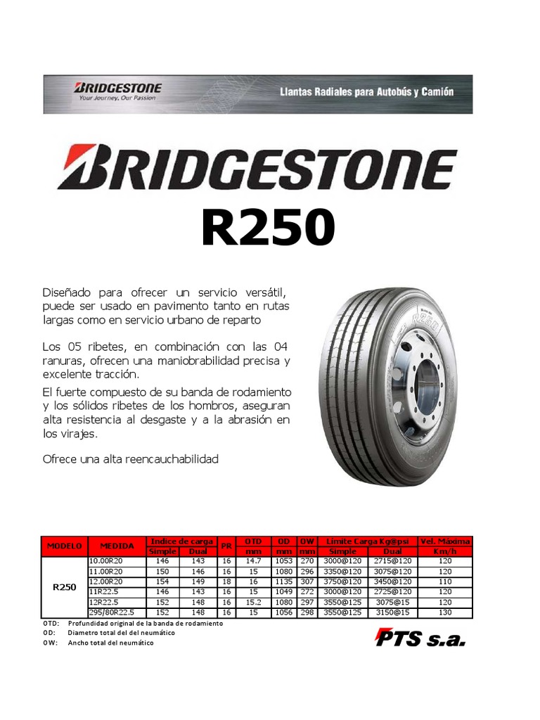 Ficha BS-R250 | PDF