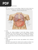 Anatomi dan Segmen Hepar Manusia | PDF
