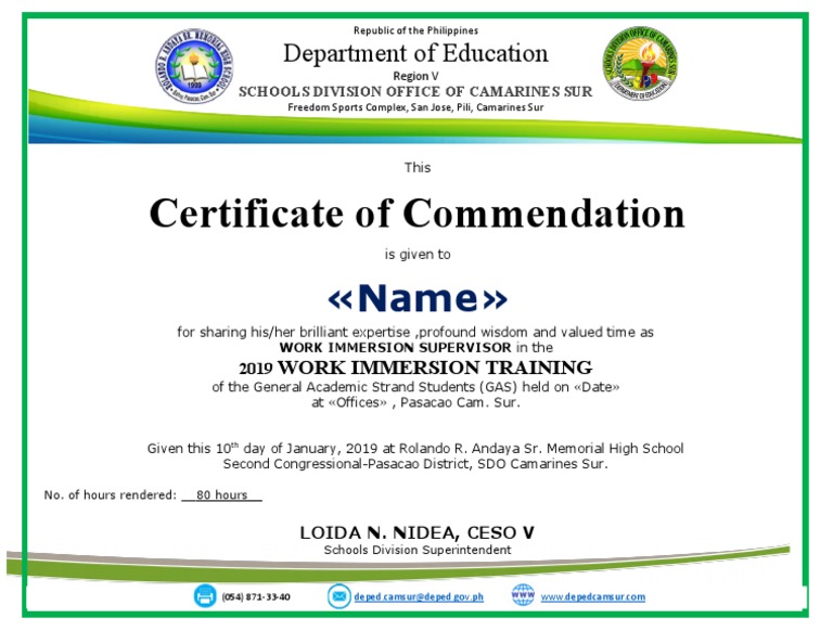 2019 INSET Certificate of Merit Official | PDF