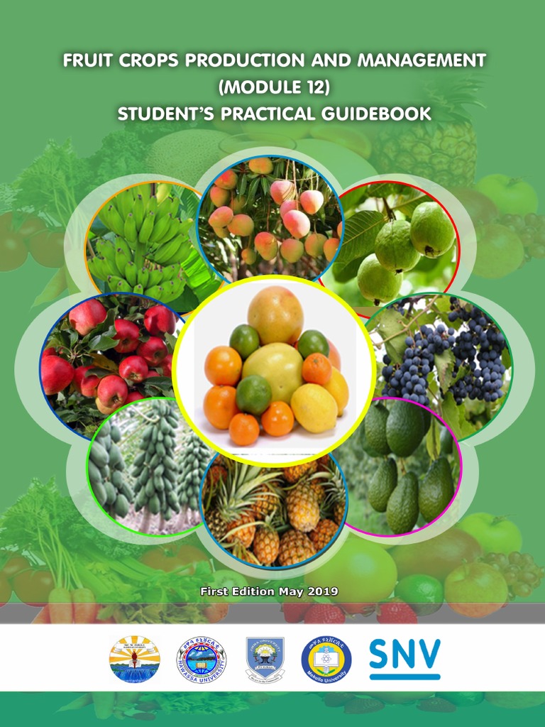 Eth Fruit Crops Production and Management Student | PDF | Grafting | Seed
