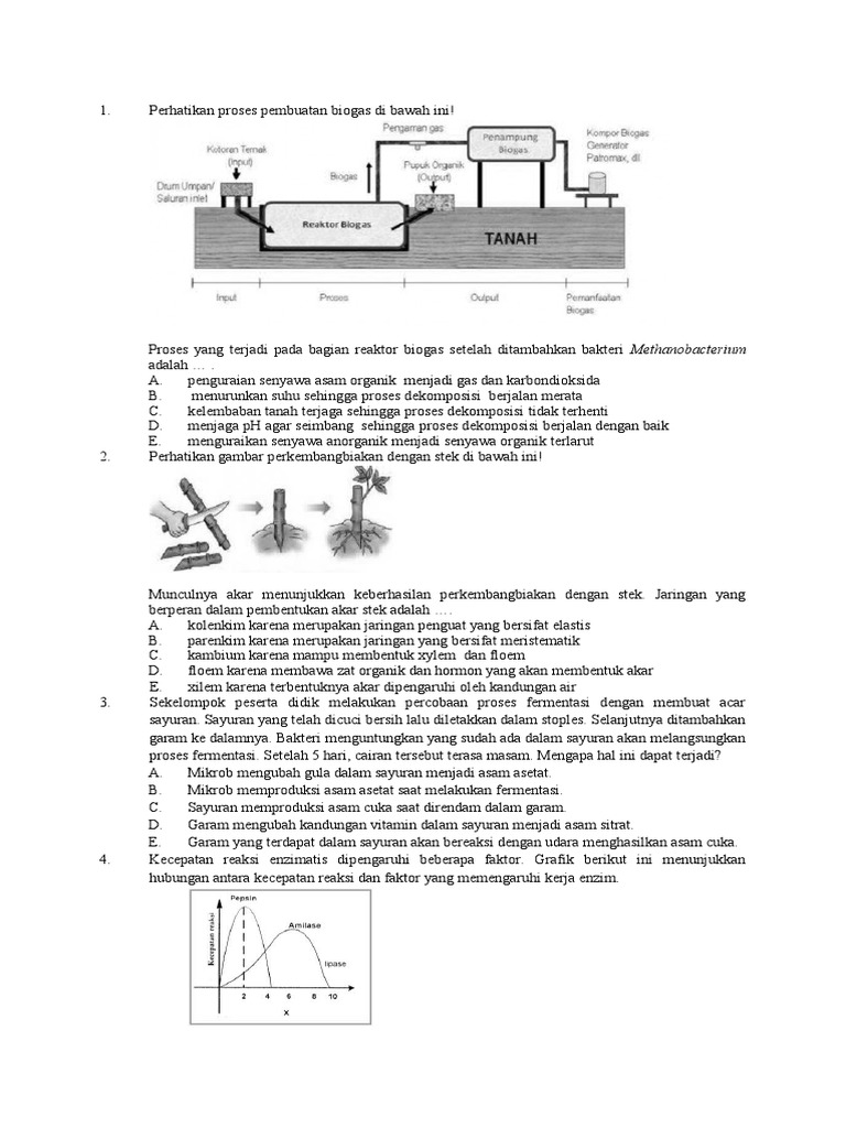 Soal Latihan Pra Usbn Bio | PDF | Pengembangan Diri