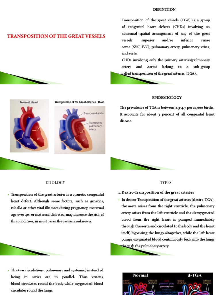 TRANSPOSITION OF THE GREAT VESSELS Print | PDF | Congenital Heart ...