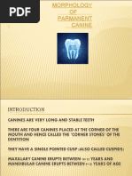 Maxillary Injections Cheat Sheet | PDF | Dentistry | Dentistry Branches