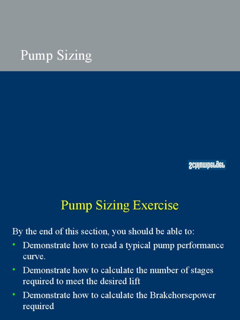 01 Pump Selection | PDF