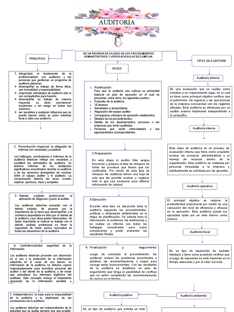 Mapa Conceptual Auditoria | PDF | Contador | Auditoría