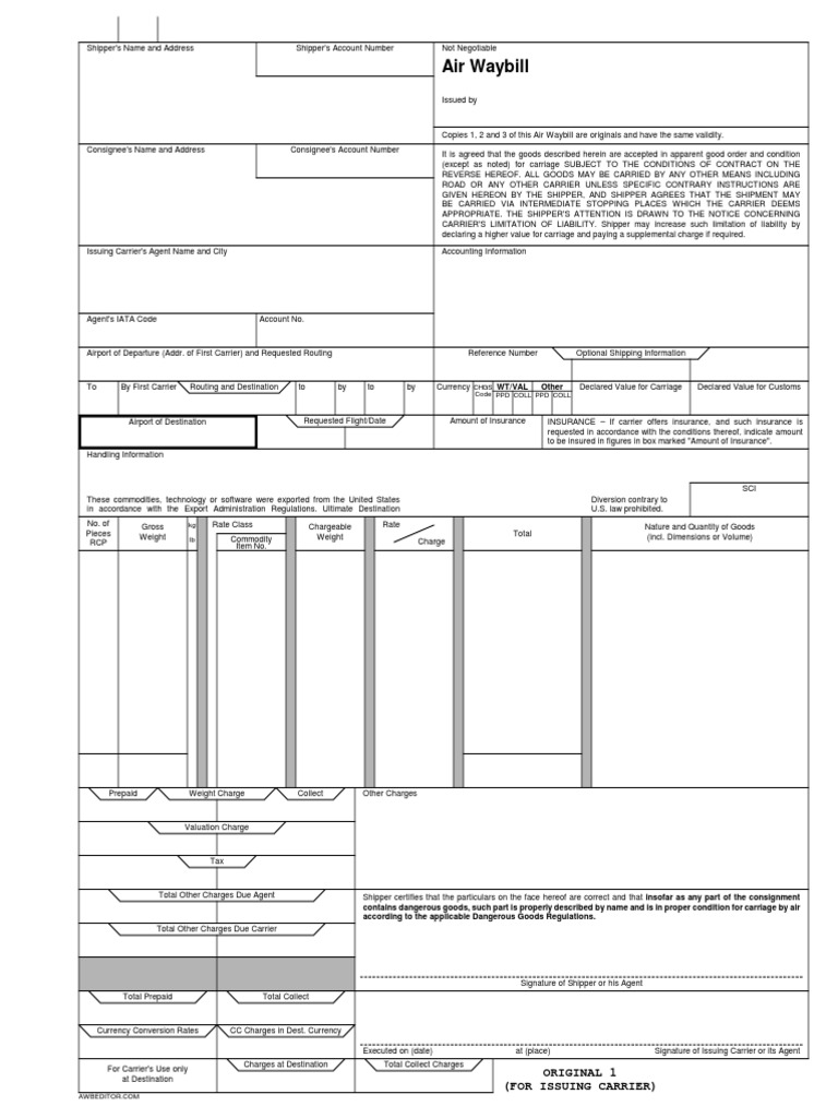 Formato Iata Awb | PDF | Common Carrier | Cargo