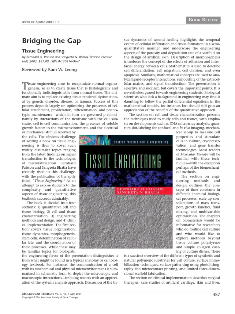 Bridging The Gap: Tissue Engineering | PDF | Morphogenesis | Tissue ...