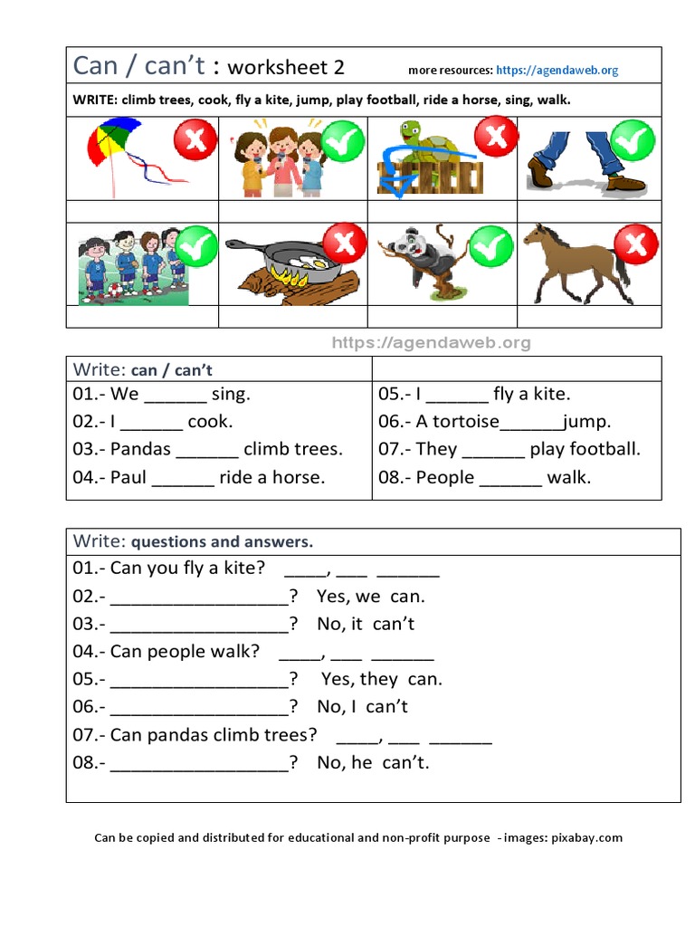 Can / Can't: Worksheet 2 | PDF