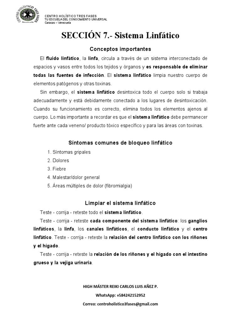 Yuen Method - Parte 5 | PDF | Sistema linfático | Sangre