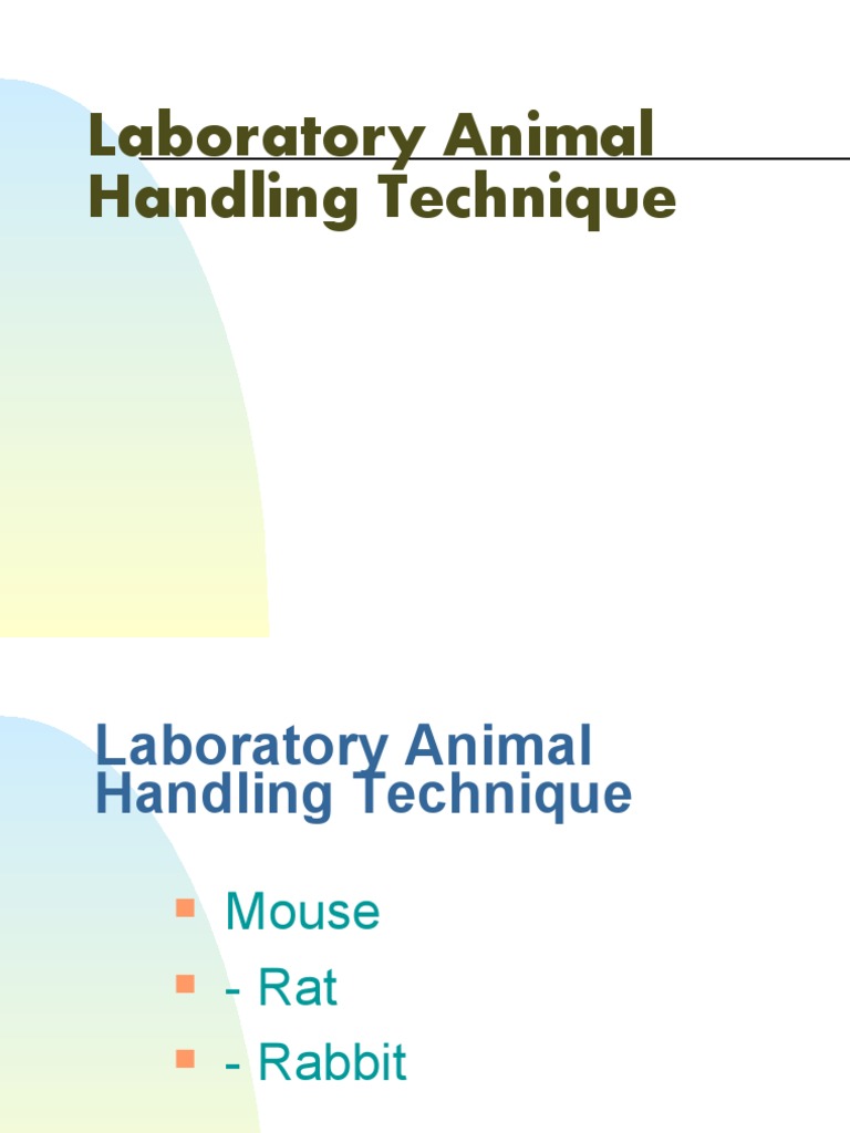 Laboratory Animal Handling Techniques | PDF