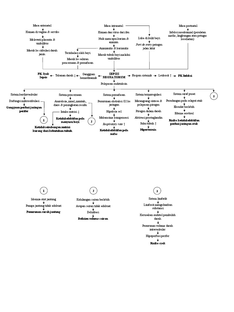 Pathway Sepsis Neonatorum | PDF