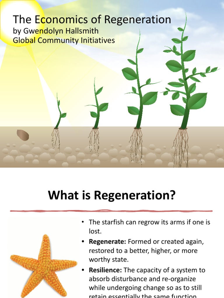 The Economics of Regeneration | PDF | Regeneration (Biology) | Capitalism